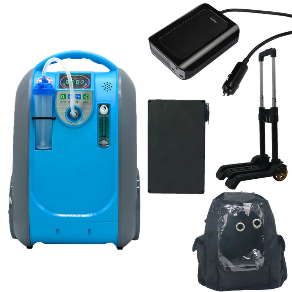High Purity Portable Oxygen Concentrator | Continuous Flow Oxygen ...